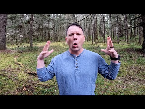 Top 5 Army Regulations