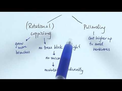 A2 Biology - Sustainability (OCR A Chapter 24.5)