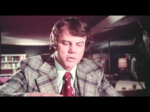 My FAKE Homemade Criterion Of The Day – sidewinder69blog