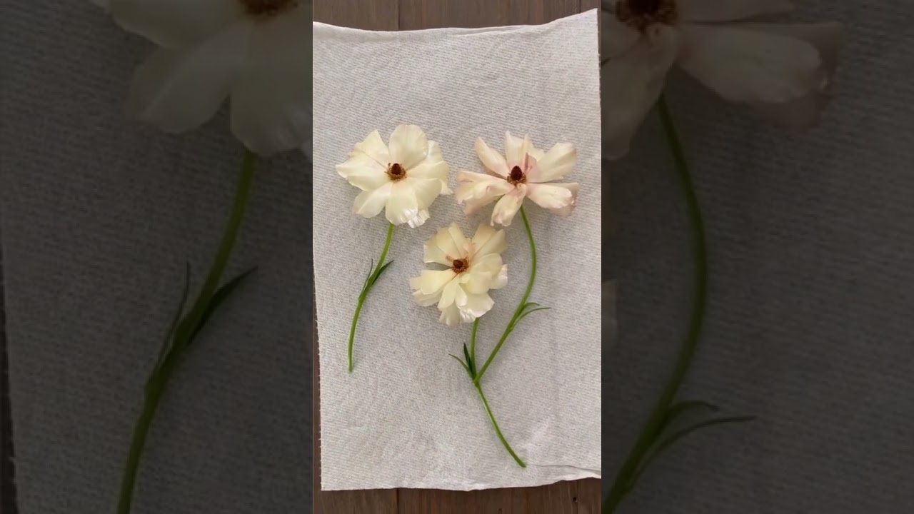 3 Ways to Preserve Flowers