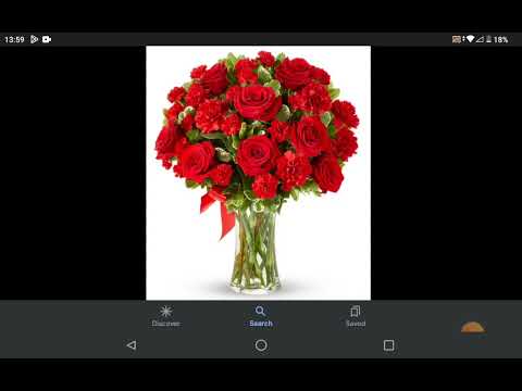 Red rose flowers