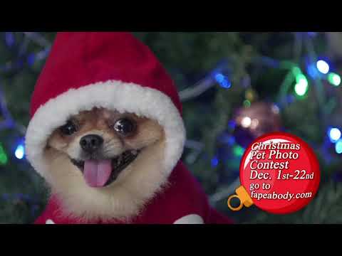 2021 Facebook Christmas Pet Photo Contest F. A. Peabody Insurance