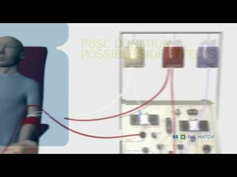 Collecting Peripheral Blood Stem Cells | Bone Marrow & Cancer Foundation