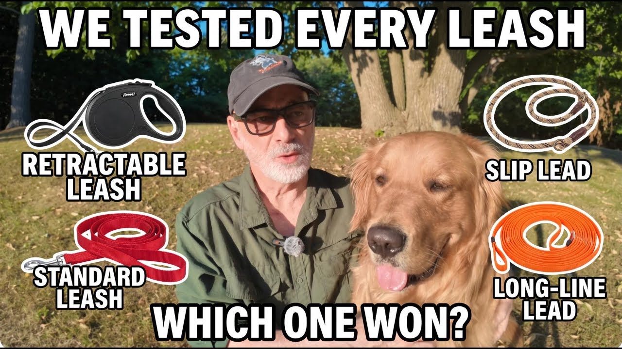We Tested Every Dog Leash—Here's What Actually Stops Pulling