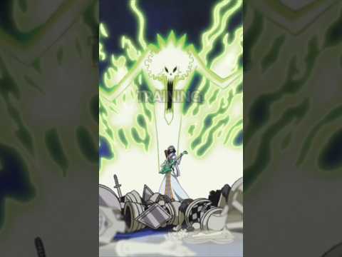 Brook did NOTHING during the Time Skip
