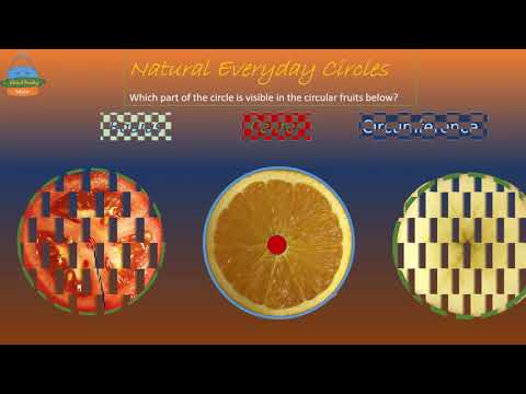 Diameter, Radius, Center, Circumference : Definitions for the basic parts of the circle(SUMMARY)