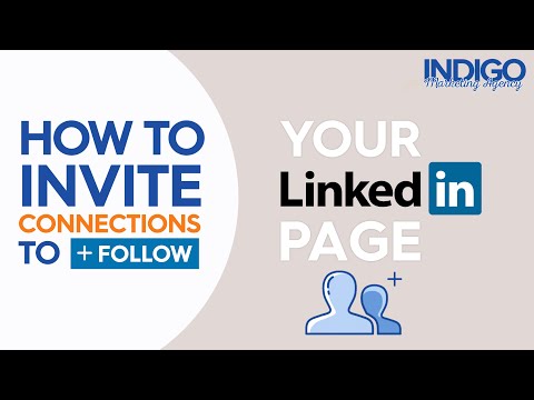 How To Invite Connections To Follow Your Linkedin Company Page | Indigo Marketing Agency