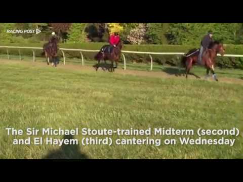 On The Gallops: Newmarket
