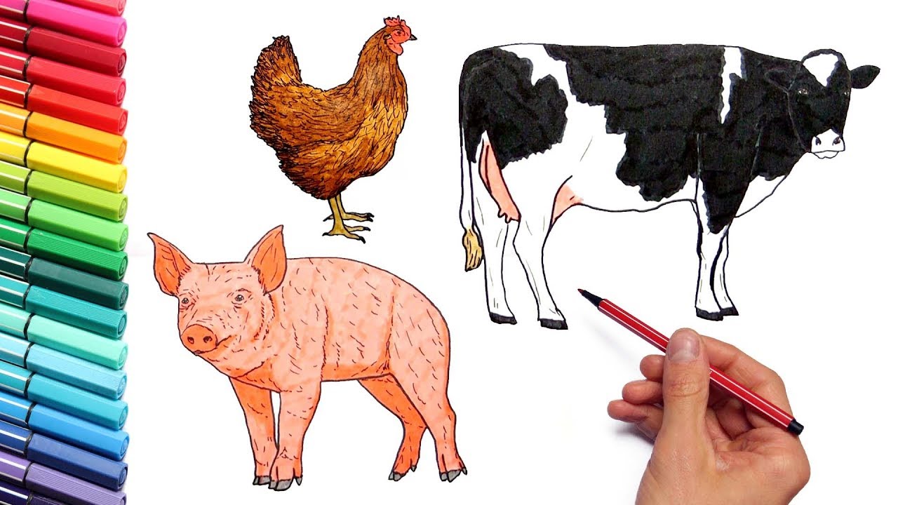 Farm Animals Coloring Pages - Learning Animal Name and Sound for Kids - Drawing Animals