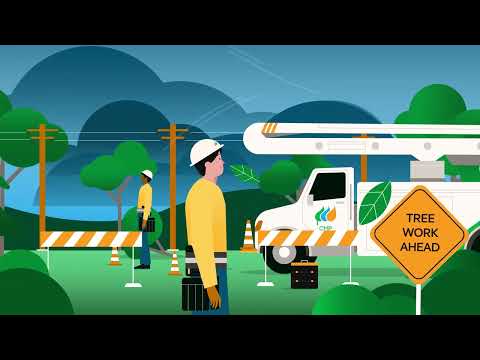 Your Central Maine Power bill, explained | Avangrid