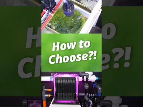 How to Choose the Right Algae Filter for Your Reef Tank!