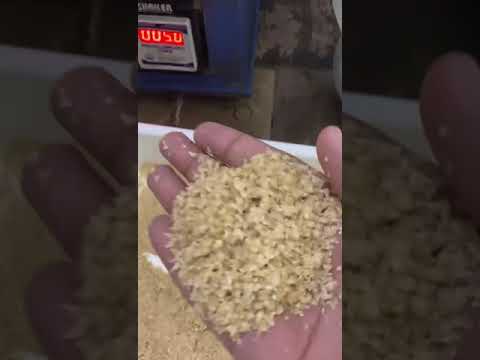 Wheat Bran - Wholesale Price & Mandi Rate for Wheat Bran in India