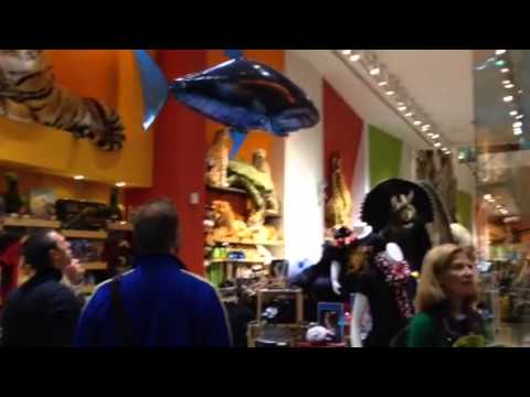 American Museum of Natura History gift shop