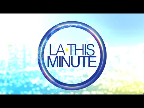 LA This Minute - City of Los Angeles 2024 Crime Statistics