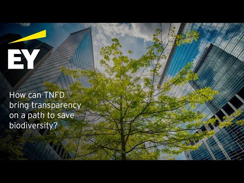 How can TNFD bring transparency on a path to save biodiversity?