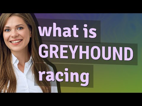 Greyhound racing | meaning of Greyhound racing