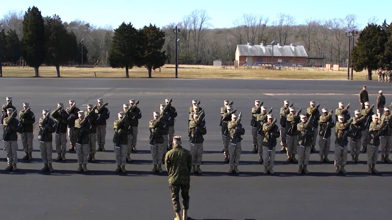 Michigan Salutes its Veterans