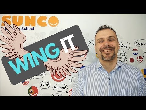 idioms 101 - wing it