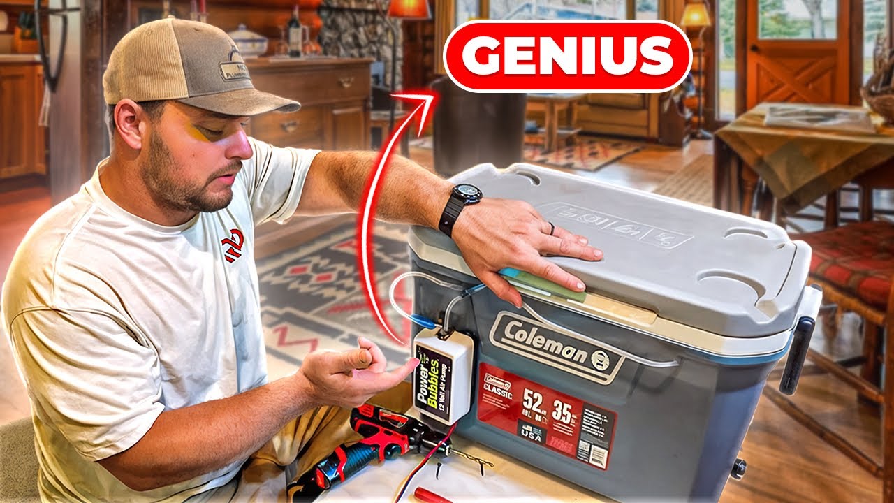 How to build a live well 