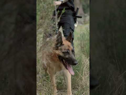 The Truth About Brian Shaffer's Disappearance