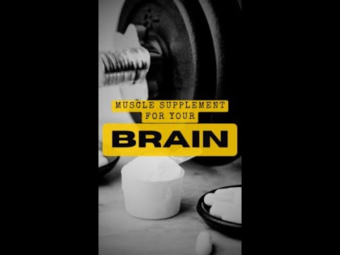 Creatine's Brain Benefits 2