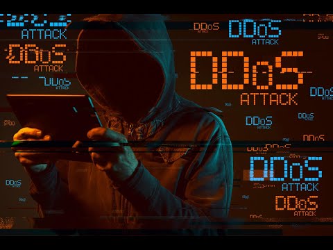 WAITERCINTA DDOS