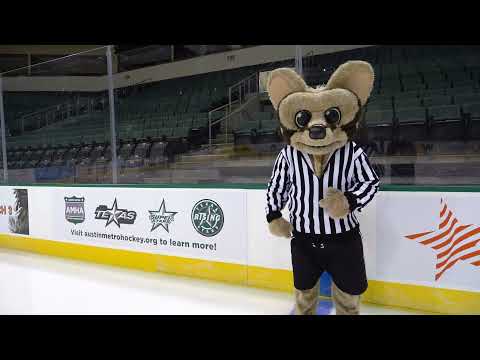 Hockey 101 - Offsides