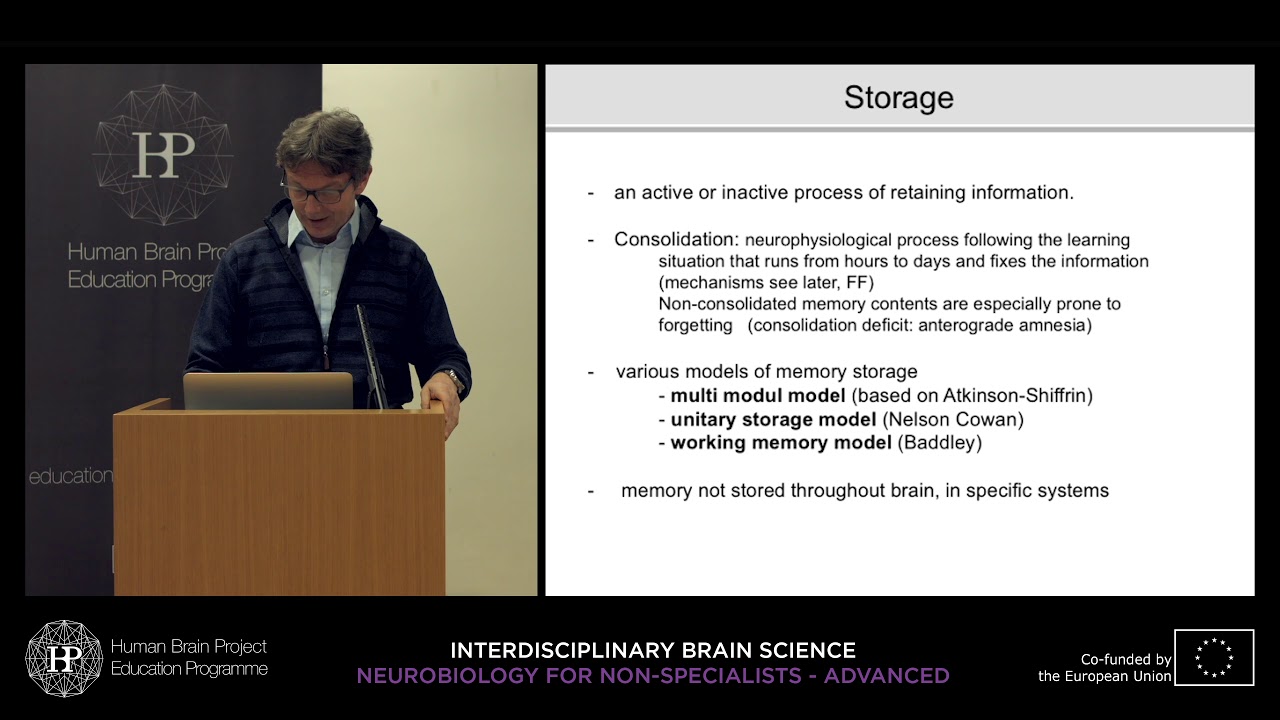 Lecture 3: Nicolas Singewald - Learning and memory: Basic concepts and medical (...)