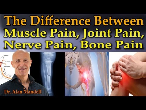 The Difference Between Muscle Pain, Joint Pain, Nerve Pain, & Bone Pain - Dr Mandell