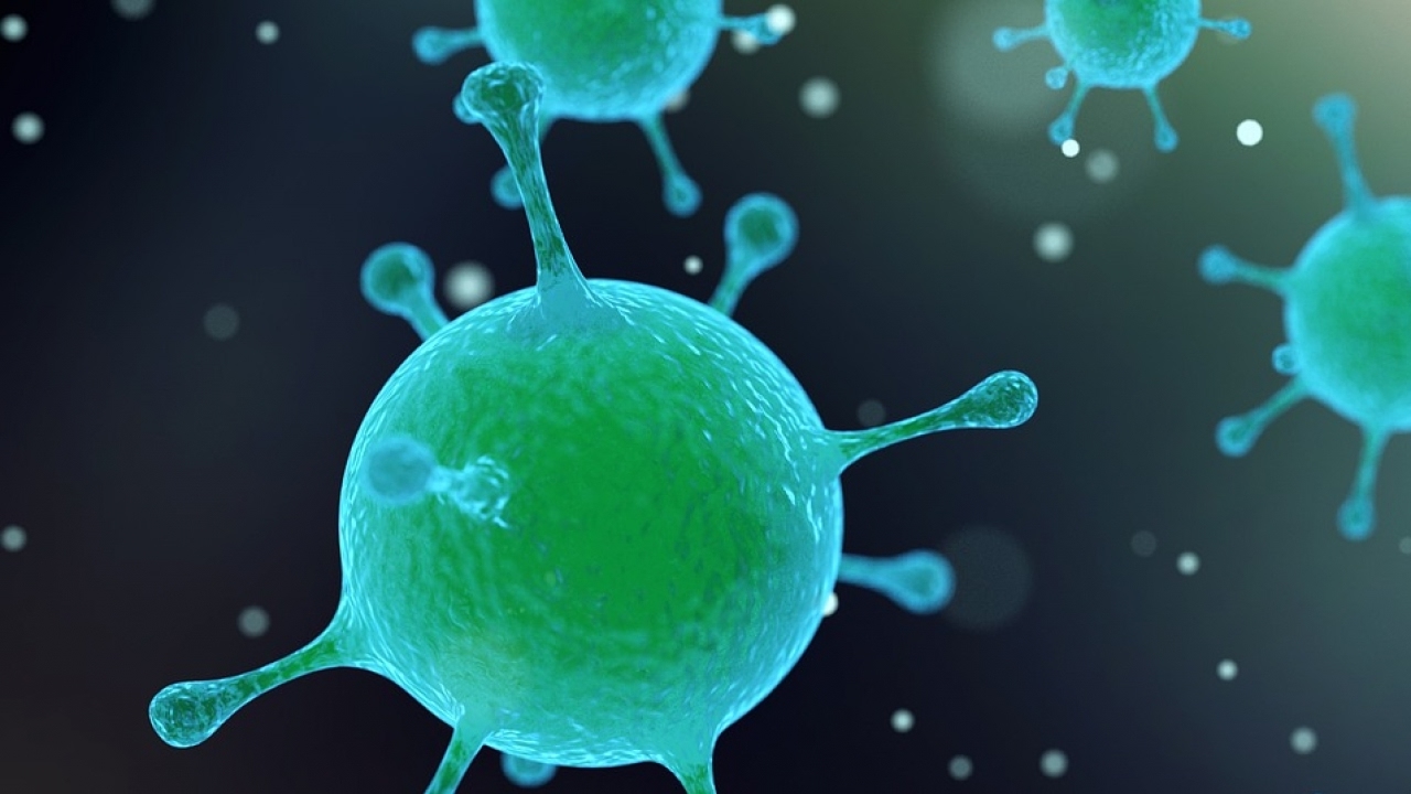 Scientists study how germs act in zero gravity