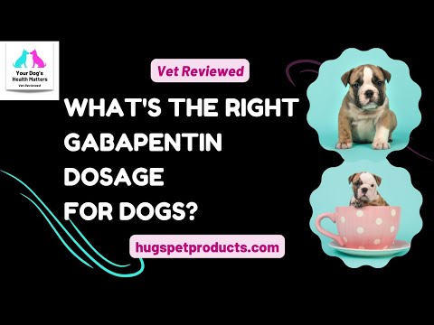 What's the Right Gabapentin Dosage for Dogs? Vet Reviewed