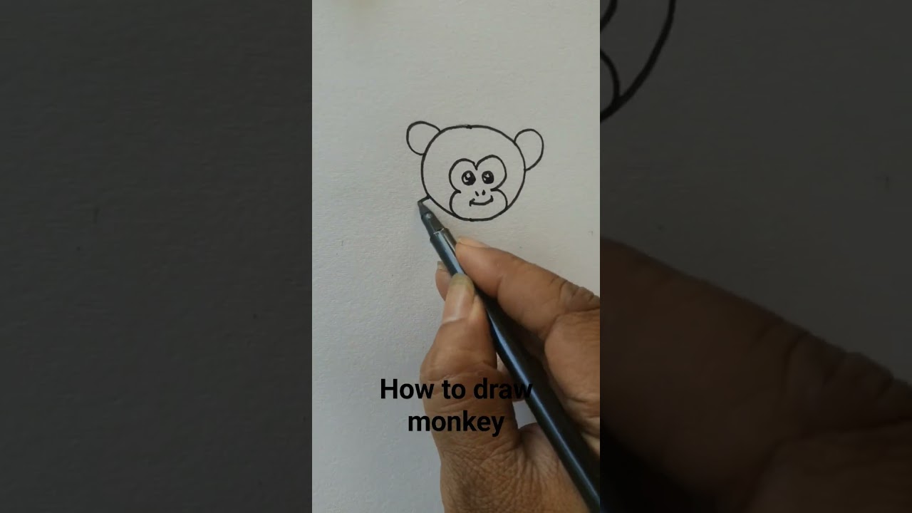 How to draw monkey for kids