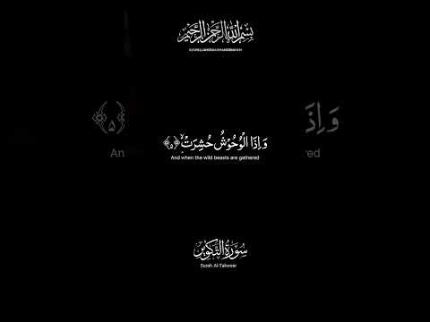 Surah At-Takwir❤️ #quran #quranrecitation #qurantilawat #shorts #youtubeshorts #shortsvideo