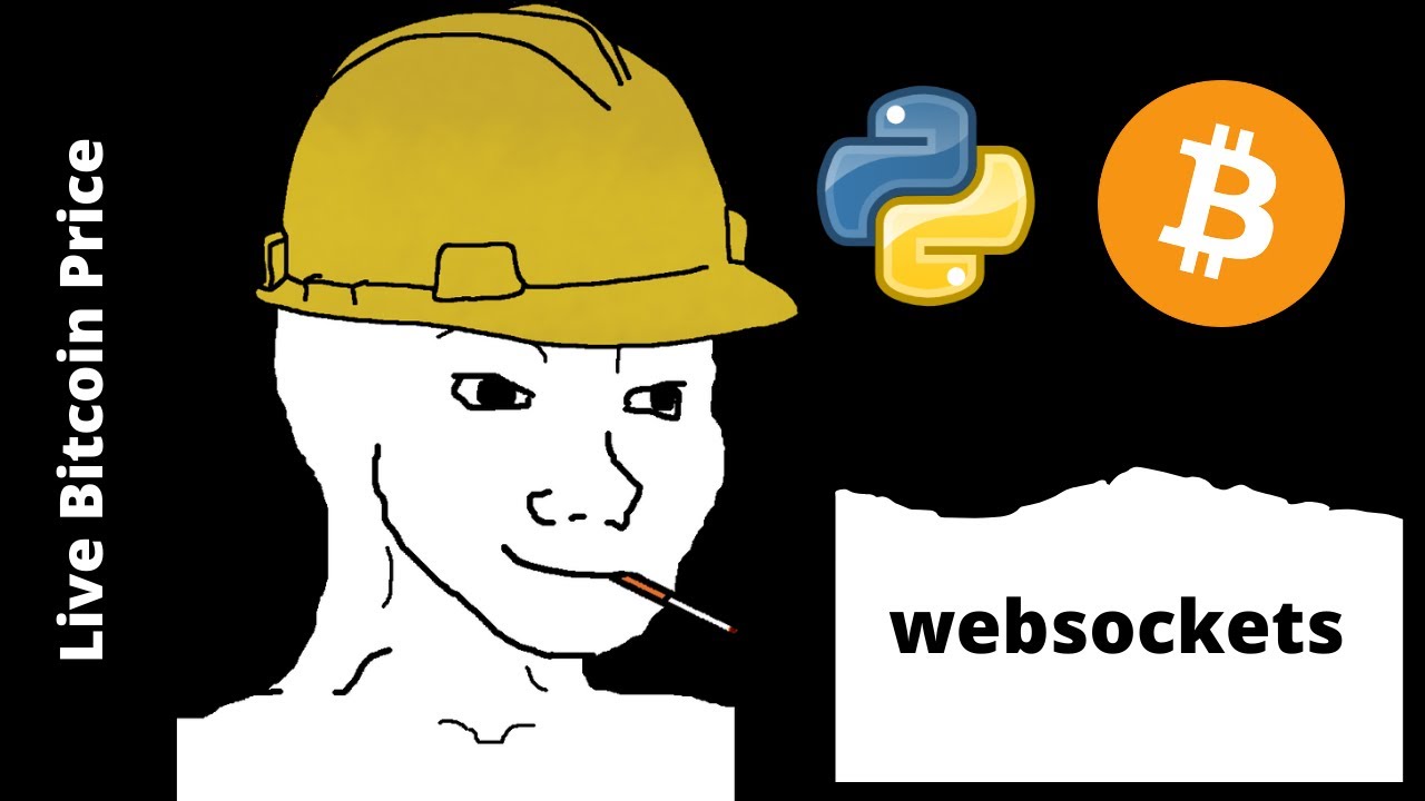 Python Websockets | Live Bitcoin Prices on a Raspberry Pi