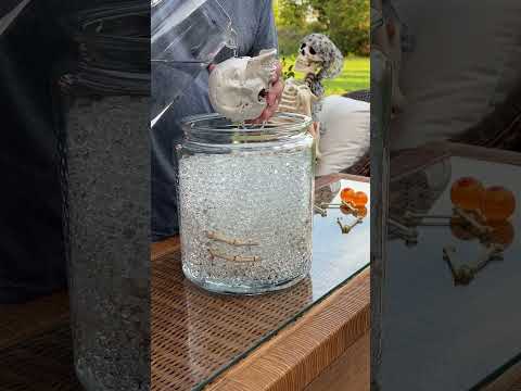 There's a skull in my pickle jar! #halloweendiy #halloweendecor #halloween #diyhalloween
