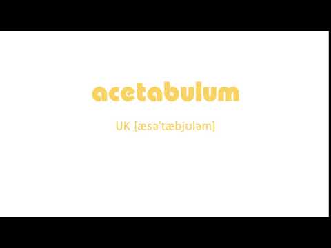 How to Pronounce acetabulum