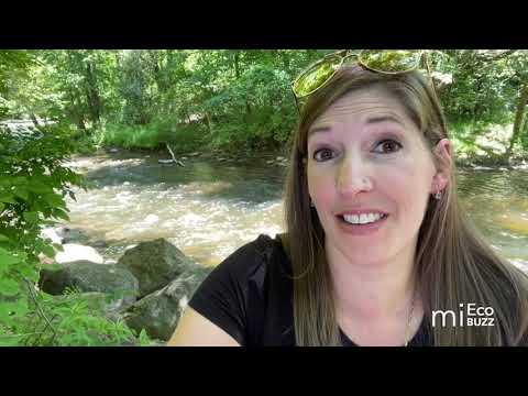 Buffers Part 1: What are Riparian Buffers?