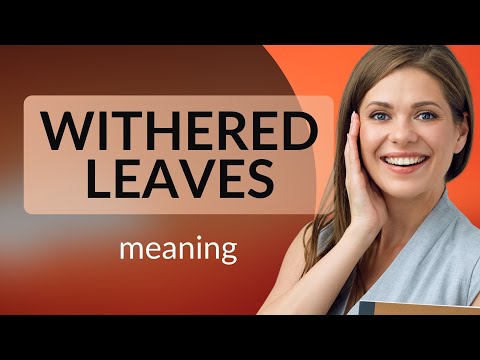 Understanding "Withered Leaves": A Guide for English Learners