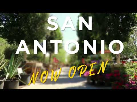 Our San Antonio Location is NOW OPEN!