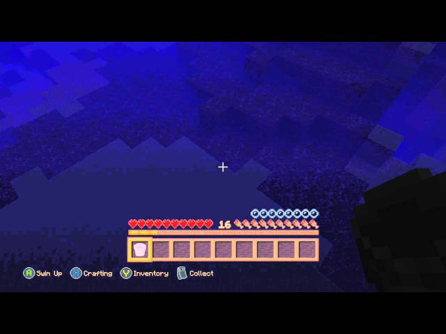 5 Best Minecraft bugs