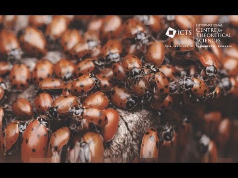 Basic elements of genetics and evolution: Genes, by Mrudula