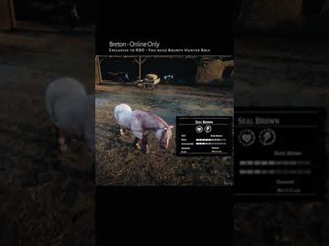 Steam Community :: Video :: RDO • All Breton Horse Colors and Locations ...