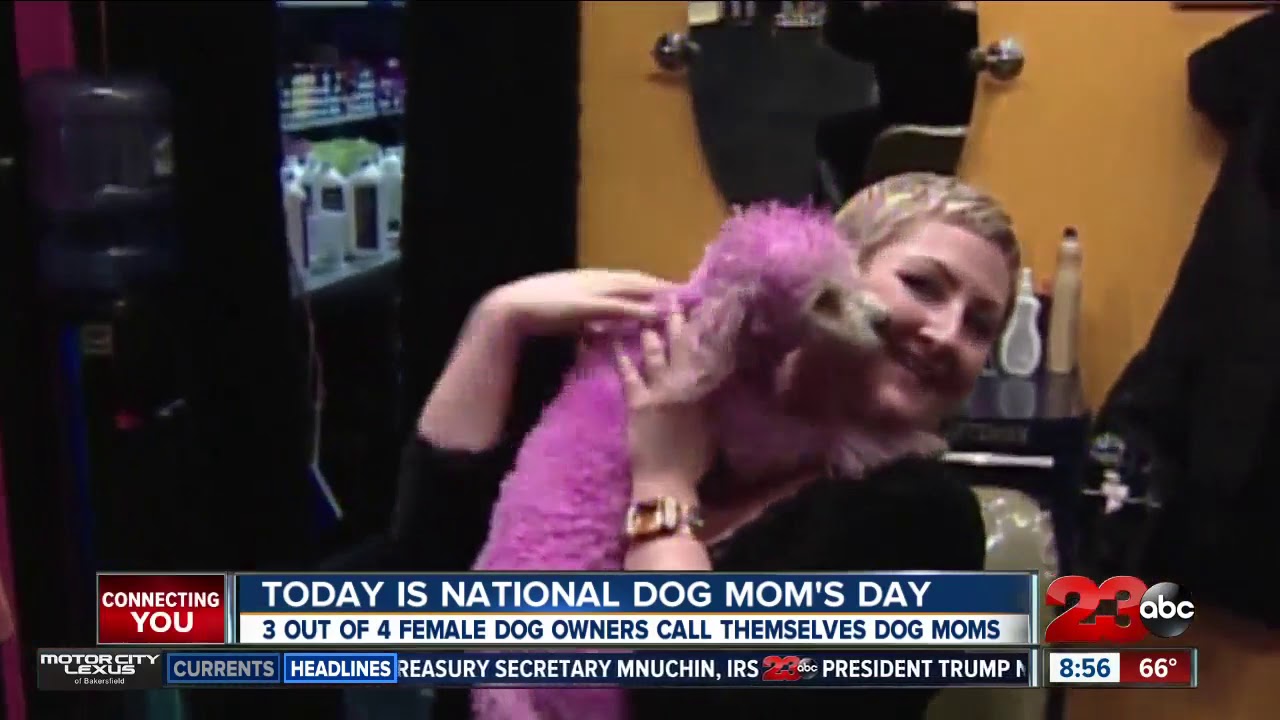 May 11 marks National Dog Mom's Day