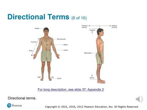 Chapter 5 Medical Terminology