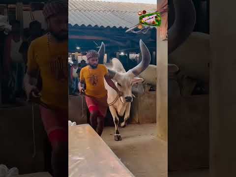 #viral #trending