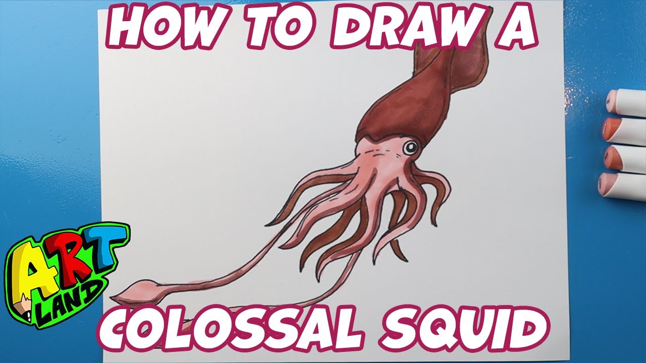 How to Draw a Colossal Squid