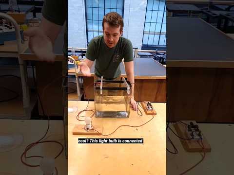 Water doesn't conduct electricity?#physics #science #stemeducation