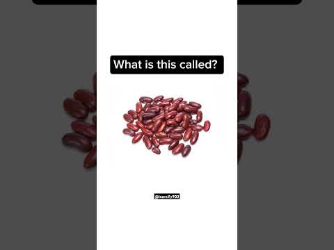 The Bean and Lentil Vocabulary Quiz