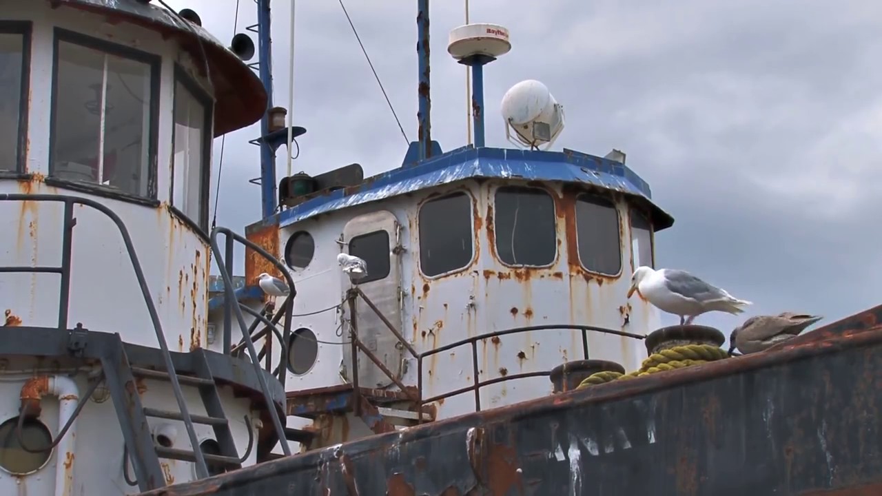 What Chemists Do - Andrea Greyson, Industrial Technical Sales Service Manager, Dow