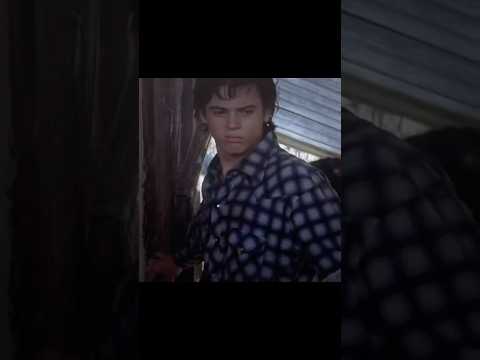 I love the outsiders ☀️🌅 #booktube #pfp #theoutsiders #ponyboy #curtis